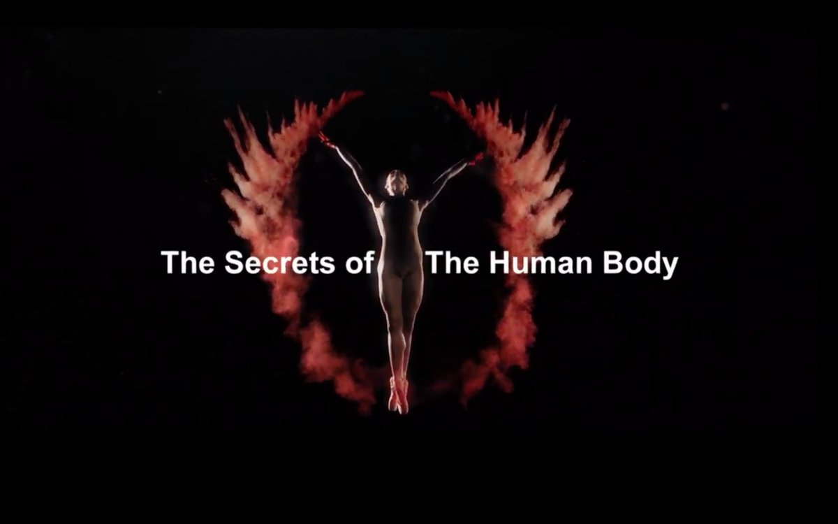 The Secrets of the Human Body - Festival of Curiosity | British Council